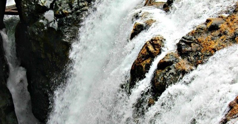 Englishman River Regional Park | Parksville Qualicum Beach Tourism