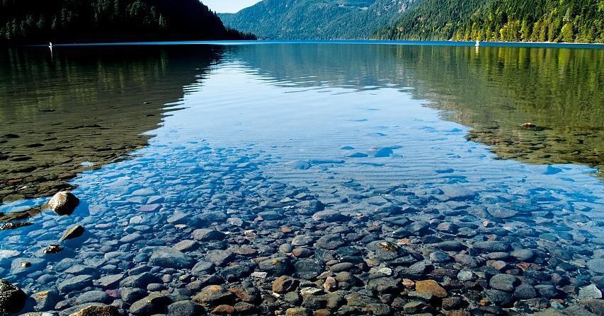 Is There A Cameron Lake Monster? | Parksville Qualicum Beach Tourism