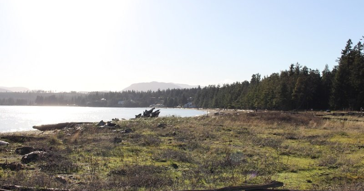 Little Qualicum River Estuary | Parksville Qualicum Beach Tourism