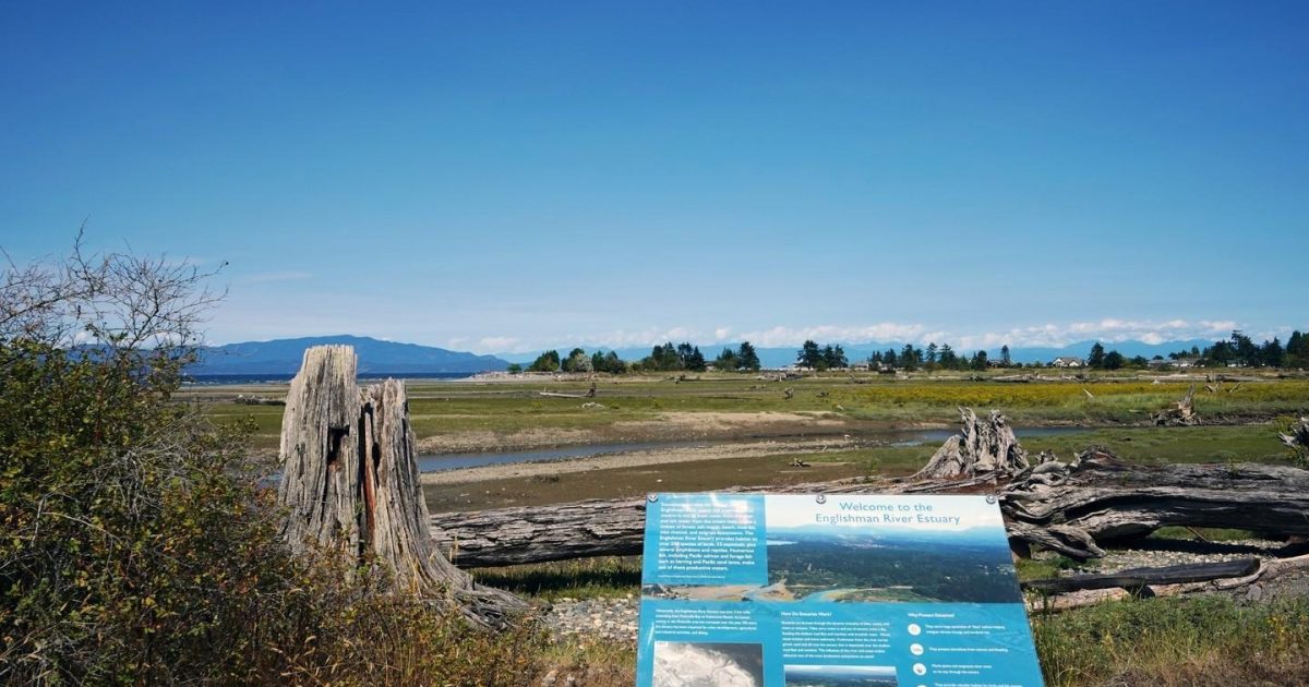 Englishman River Estuary | Parksville Qualicum Beach Tourism