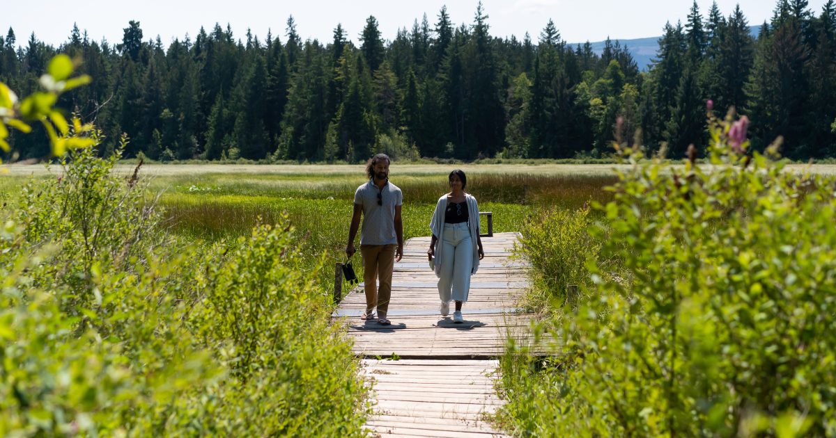 Hamilton Marsh | Parksville Qualicum Beach Tourism
