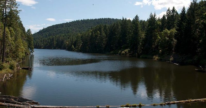 Exploring Enos Lake | Parksville Qualicum Beach Tourism